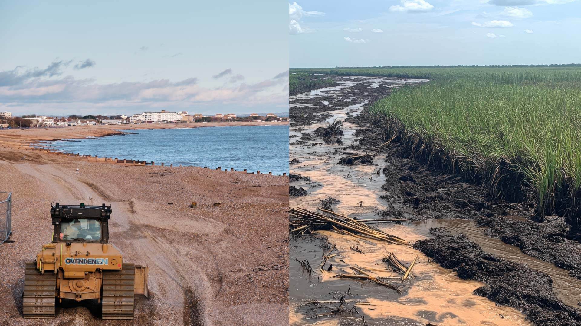 Environmental Impacts of Land Reclamation